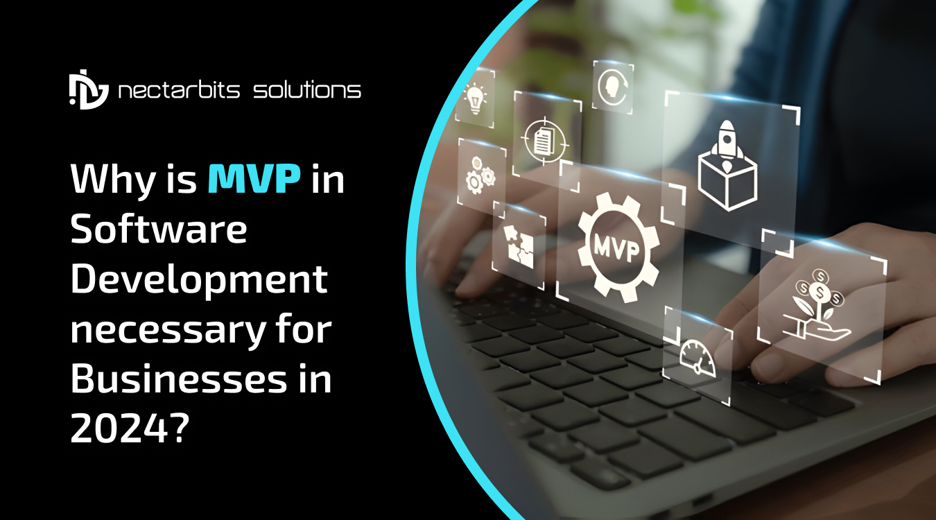 Why is MVP in Software Development Necessary for Businesses in 2025 ...